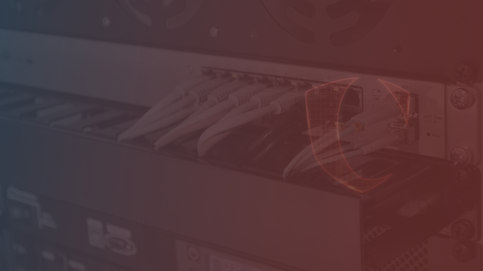 Hálózat - SCI Network